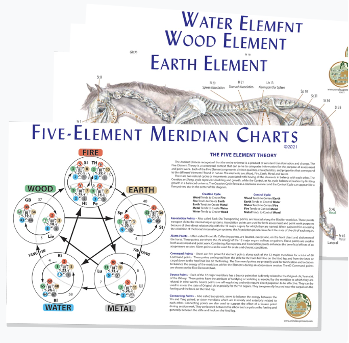 Equine 5-Element Meridian Charts | Horse 5-Element Charts - School of ...