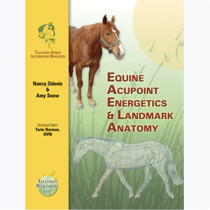 Equine acupoint energetics book | Manual | Landmark anatomy book ...
