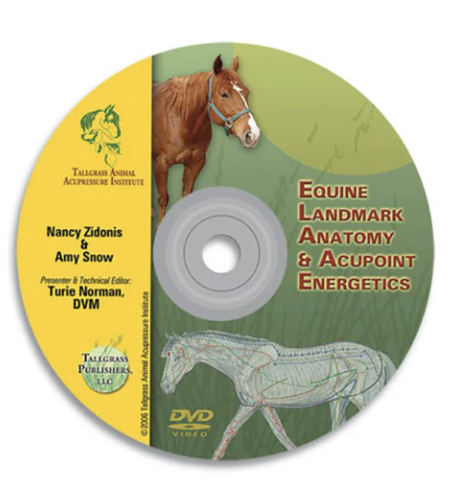 Digital-Equine Acupoints & Anatomy DVD - School of Applied Integrative ...